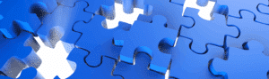 Managing Negative Synergy in an M&A Process